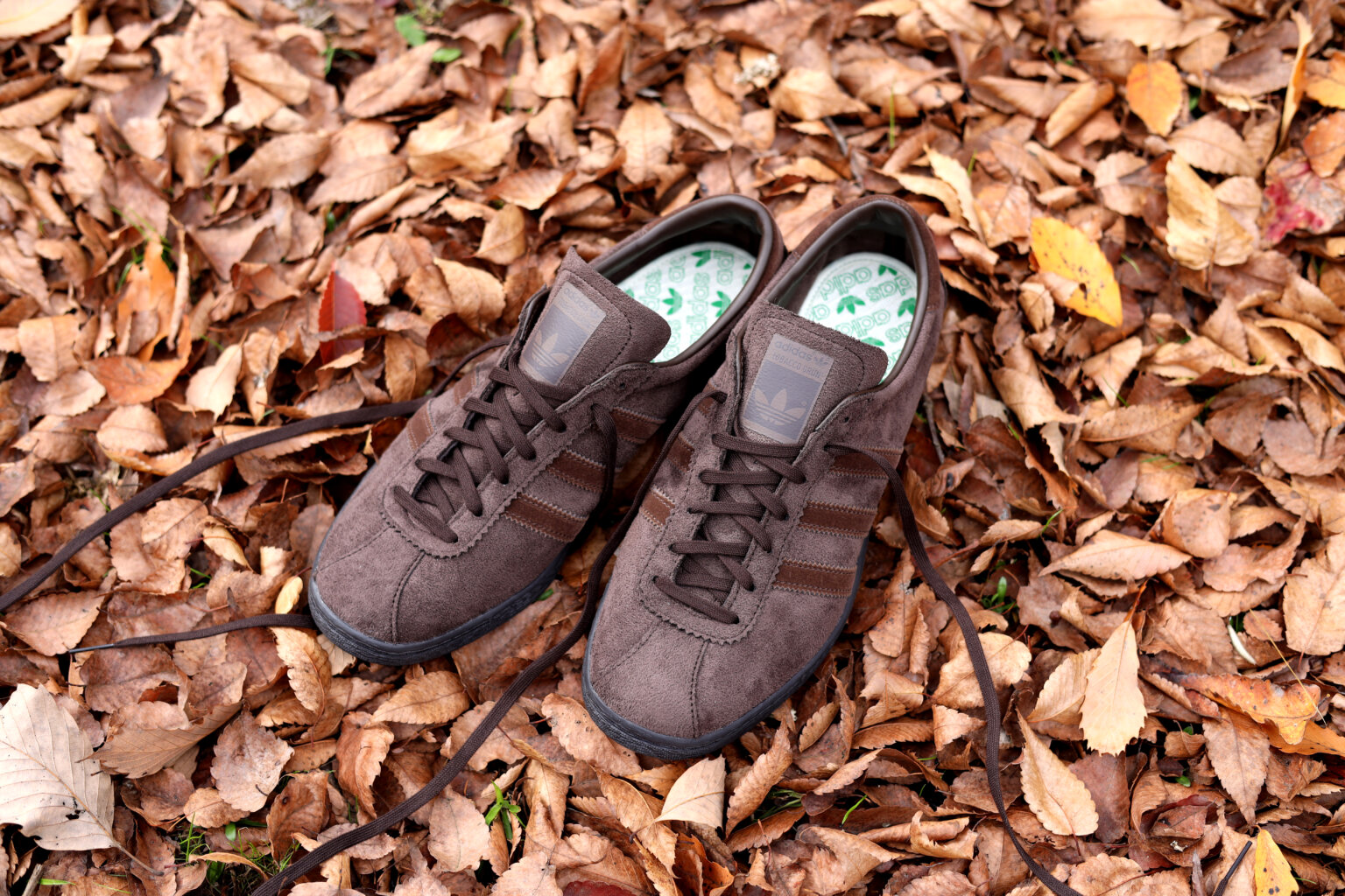 adidasのタバコ（TOBACCO GRUEN）のサイズ感・デザインを徹底レビュー - K2J