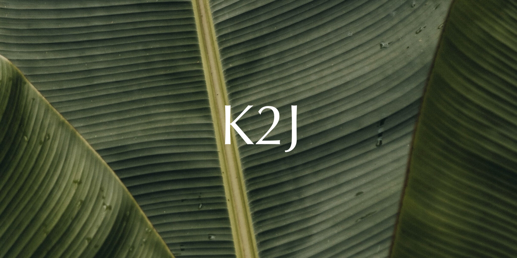 THE ROWとはどんなブランド？なぜ人気？高すぎると言われる理由と真実 - K2J